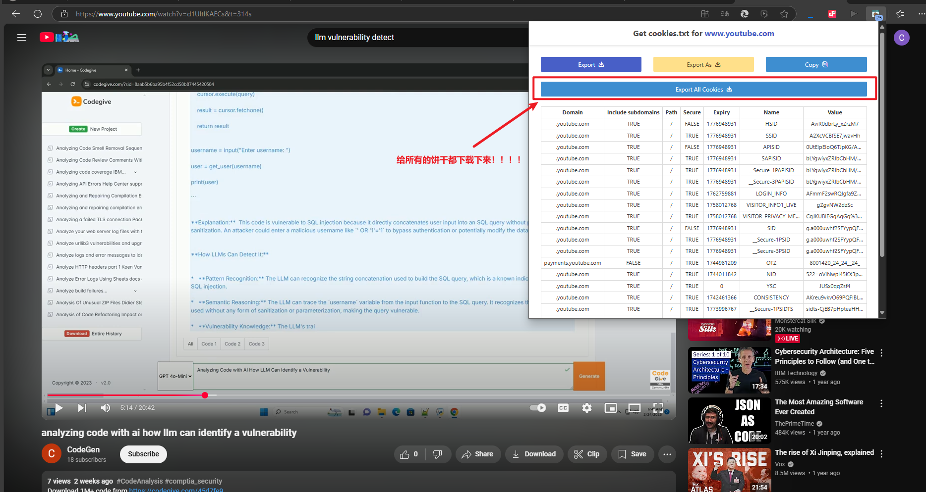 VideoCaptioner字幕生成与翻译相关配 & cookie问题解决 | Fetyloi's Blog